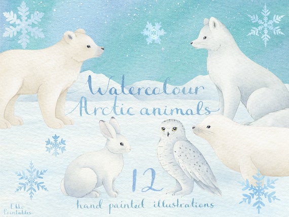Arctic Hare Clipart