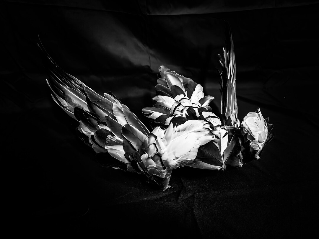 Shaman Feather Head Dress - Etsy