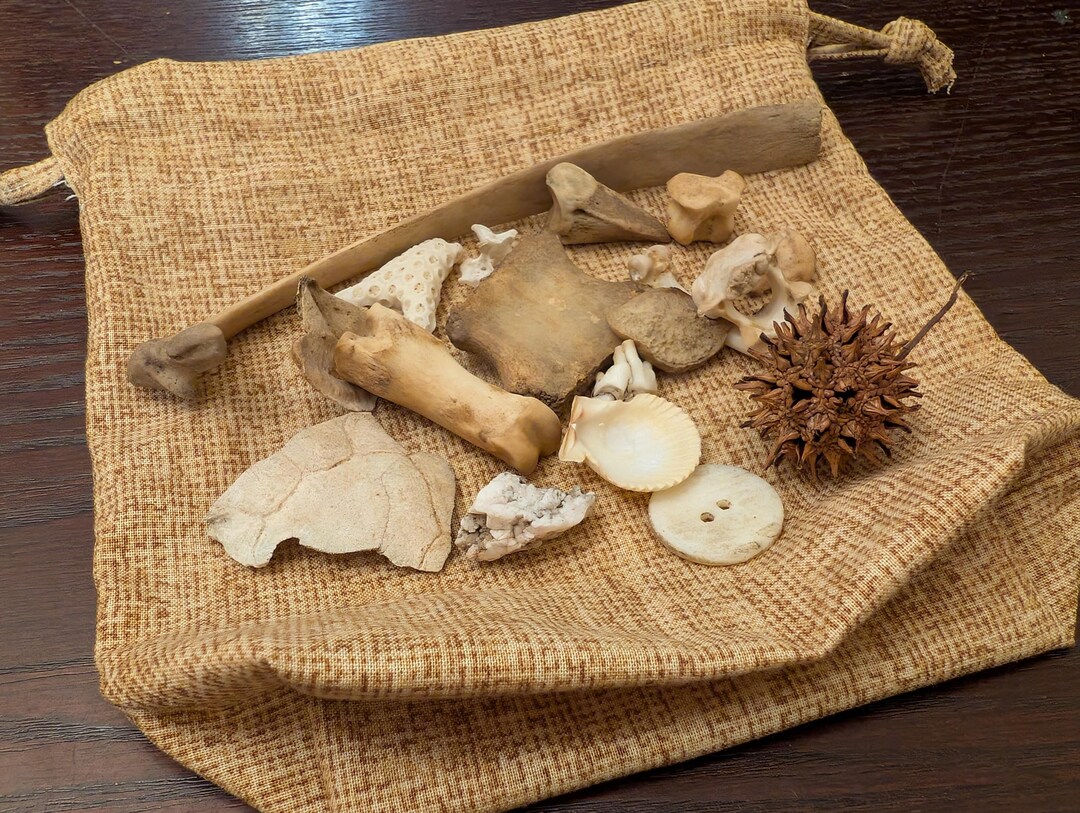 Nature Foraged, Ethically Sourced *18 Piece* Bone Throwing Set ...