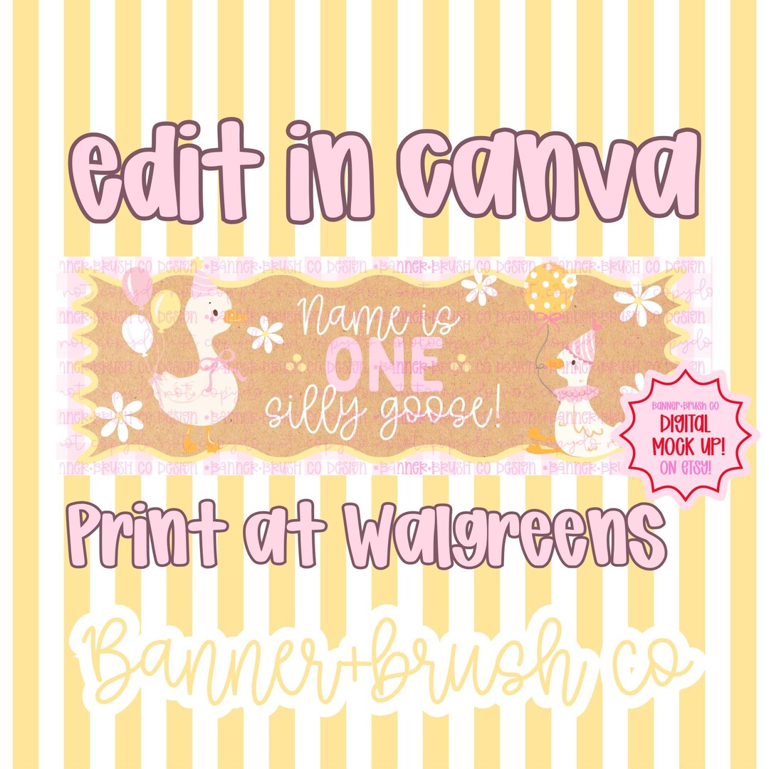 One Silly Goose Birthday Banner Template | Editable Canva | 2x6 ...