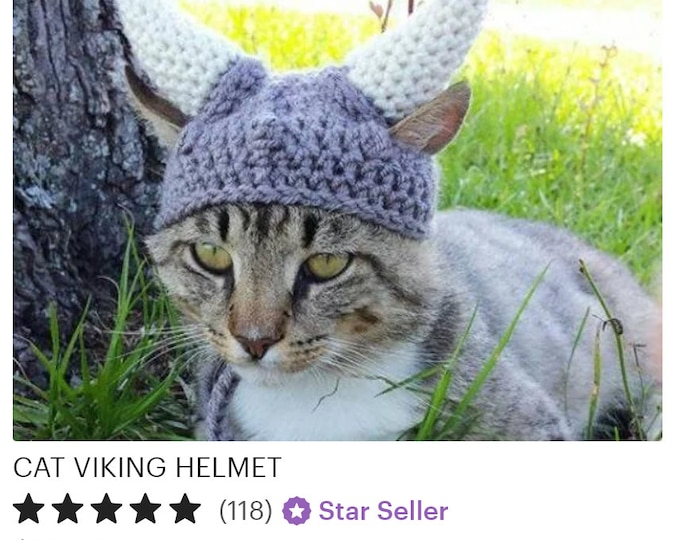 CAT VIKING HELMET - Etsy