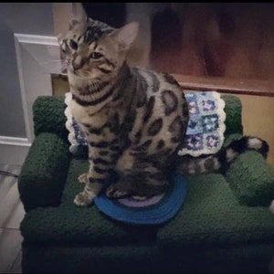 Custom Crochet Cat Couch ~ Kitty Couch - Etsy