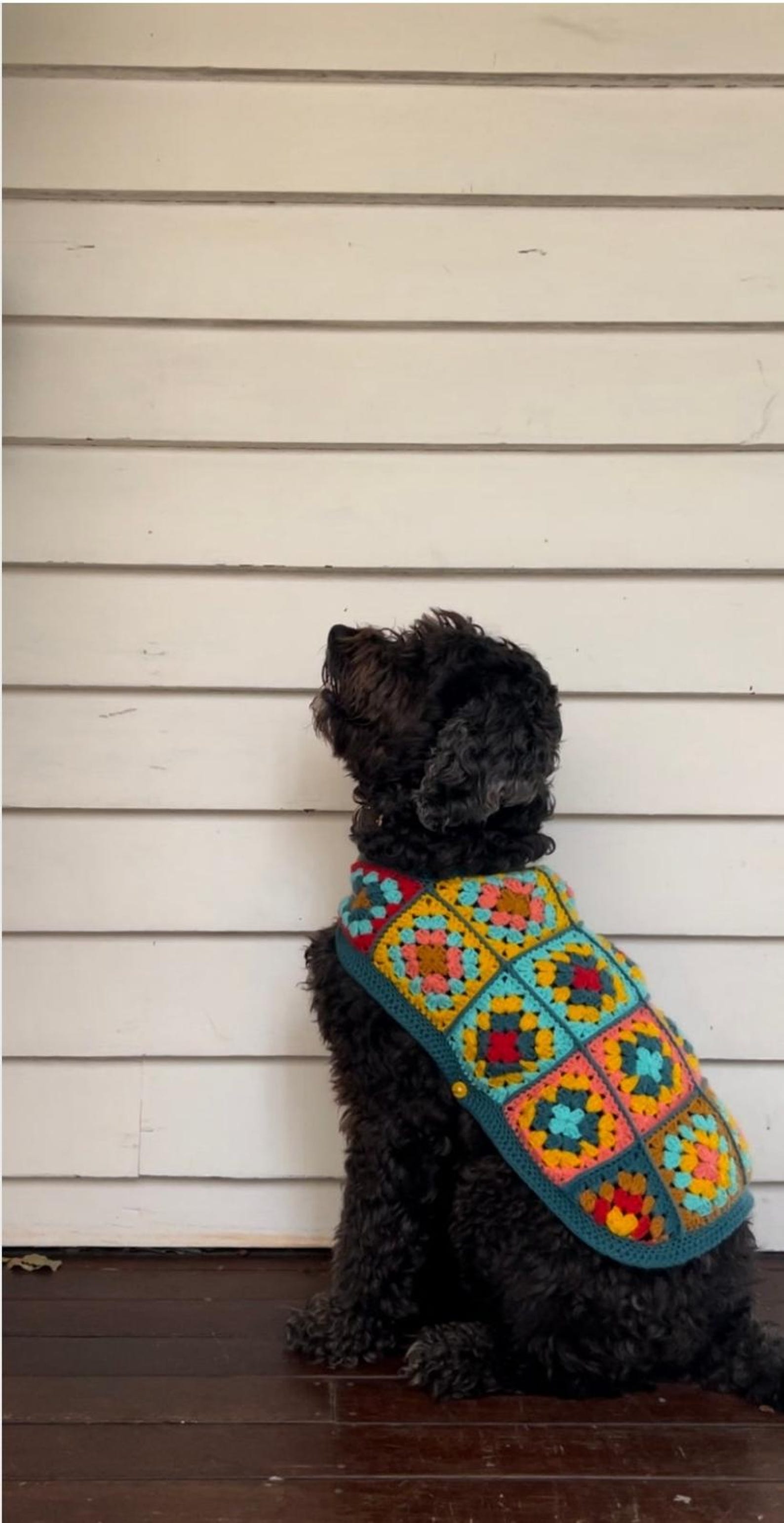 Crochet Granny Square Dog Sweater Vest Coat - Etsy