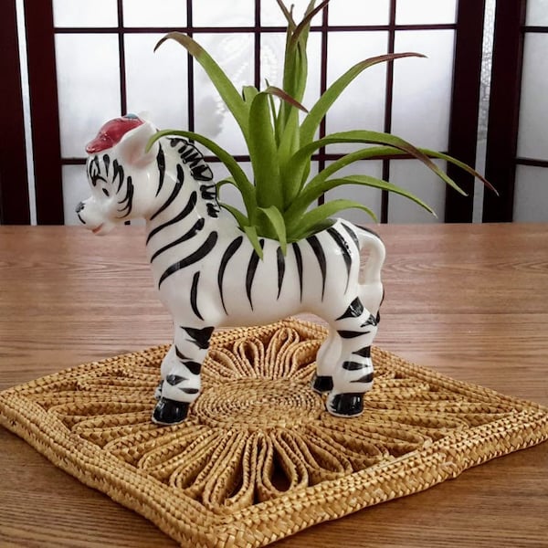 Ceramic Zebra Planter - Etsy