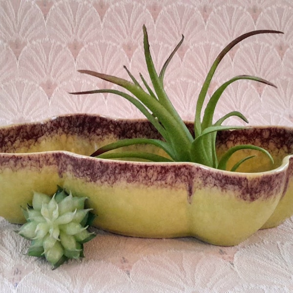 Chartreuse Planter - Etsy