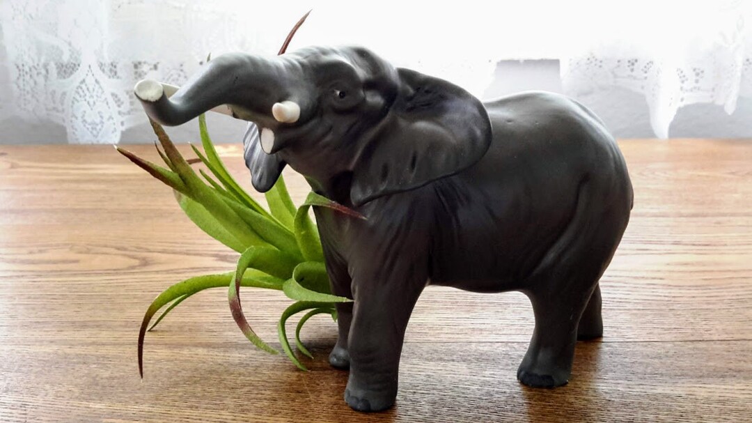 Vintage Beswick Young Gray Lucky Elephant Ceramic Figurine - Etsy
