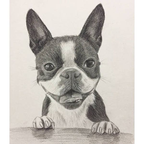 Dog Portraits Pencil - Etsy