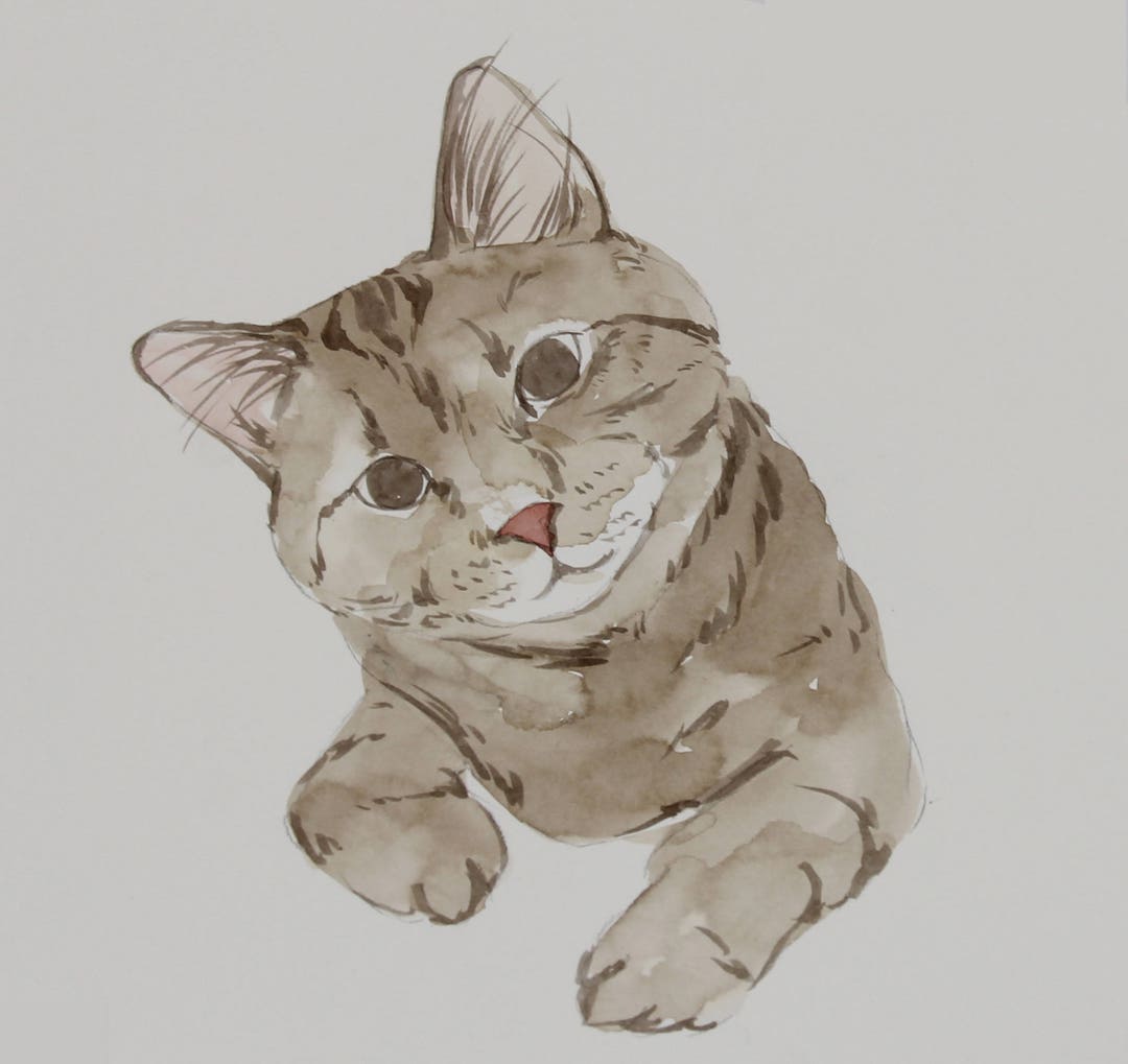 Cat Portrait, Custom Cat Portrait, Cute Cat Portait, Personalized Cat ...
