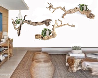 Large Tree Root Sculpture - Etsy