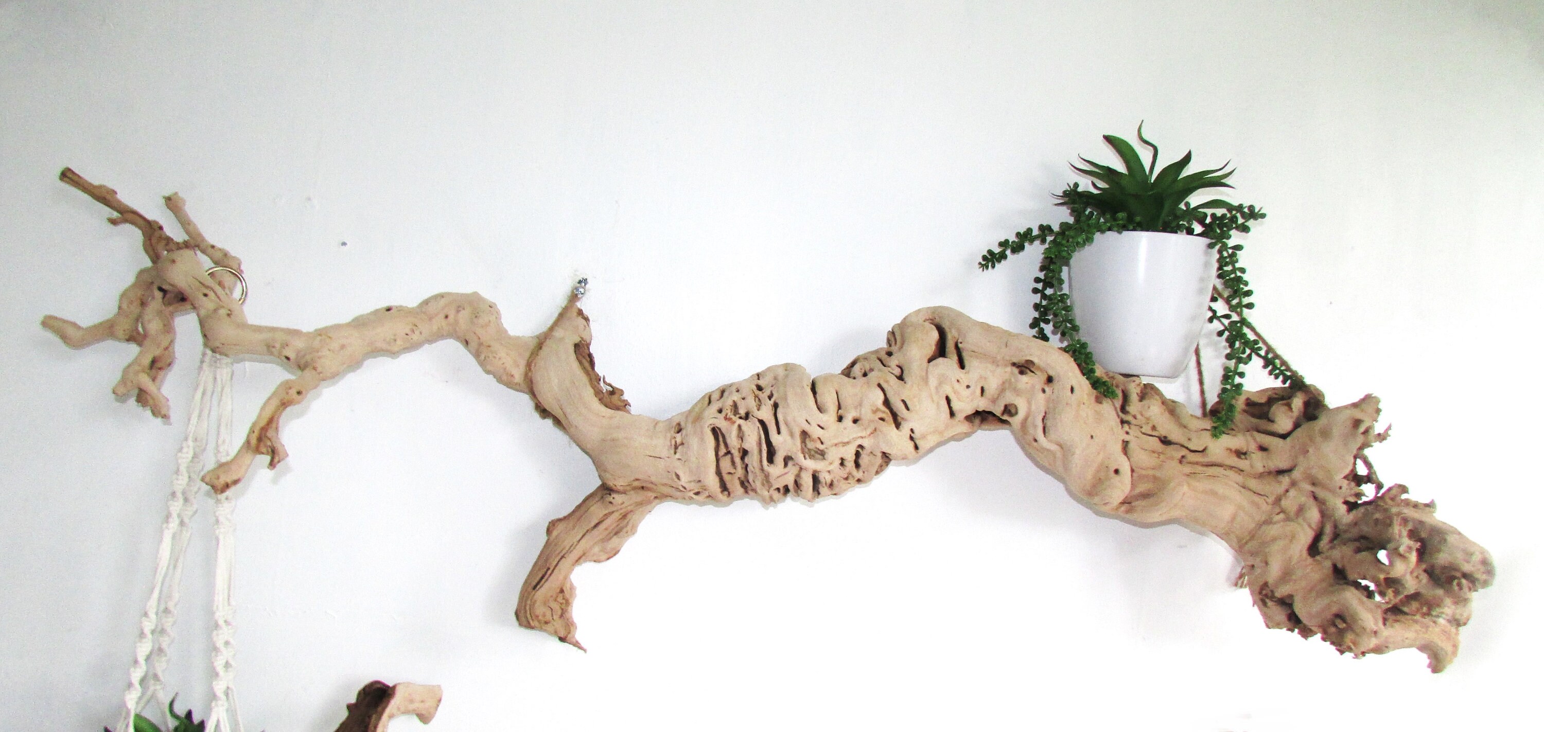 Set of 3 Naturals Tree Roots Driftwood Wall Art Tree Root - Etsy
