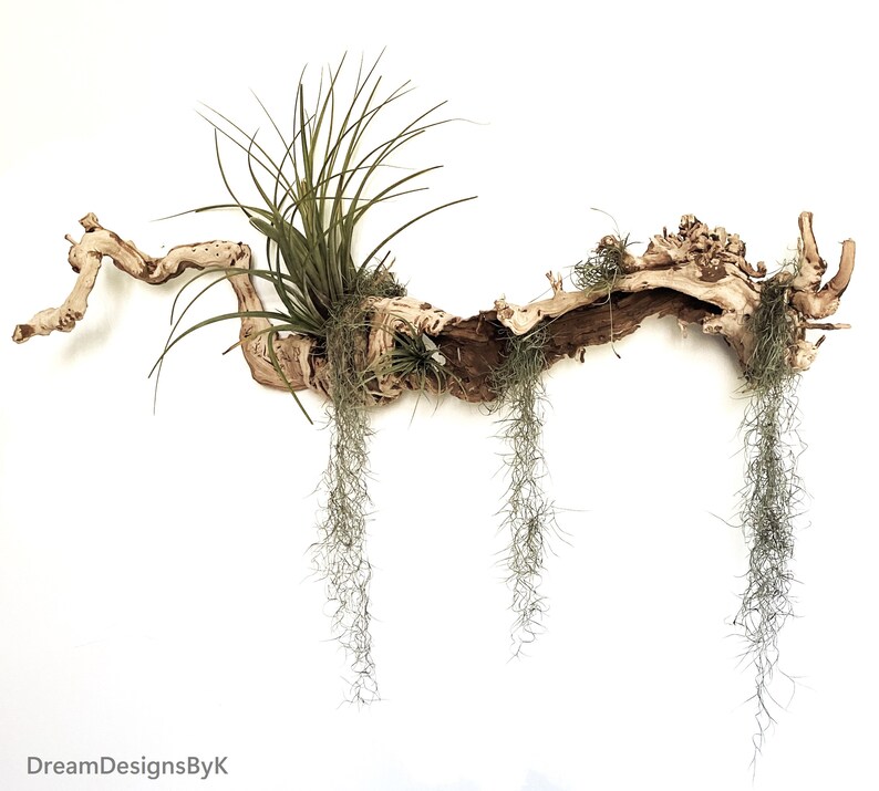 Large 54 Driftwood Wall Artnatural Rootdrift Wood Wall - Etsy