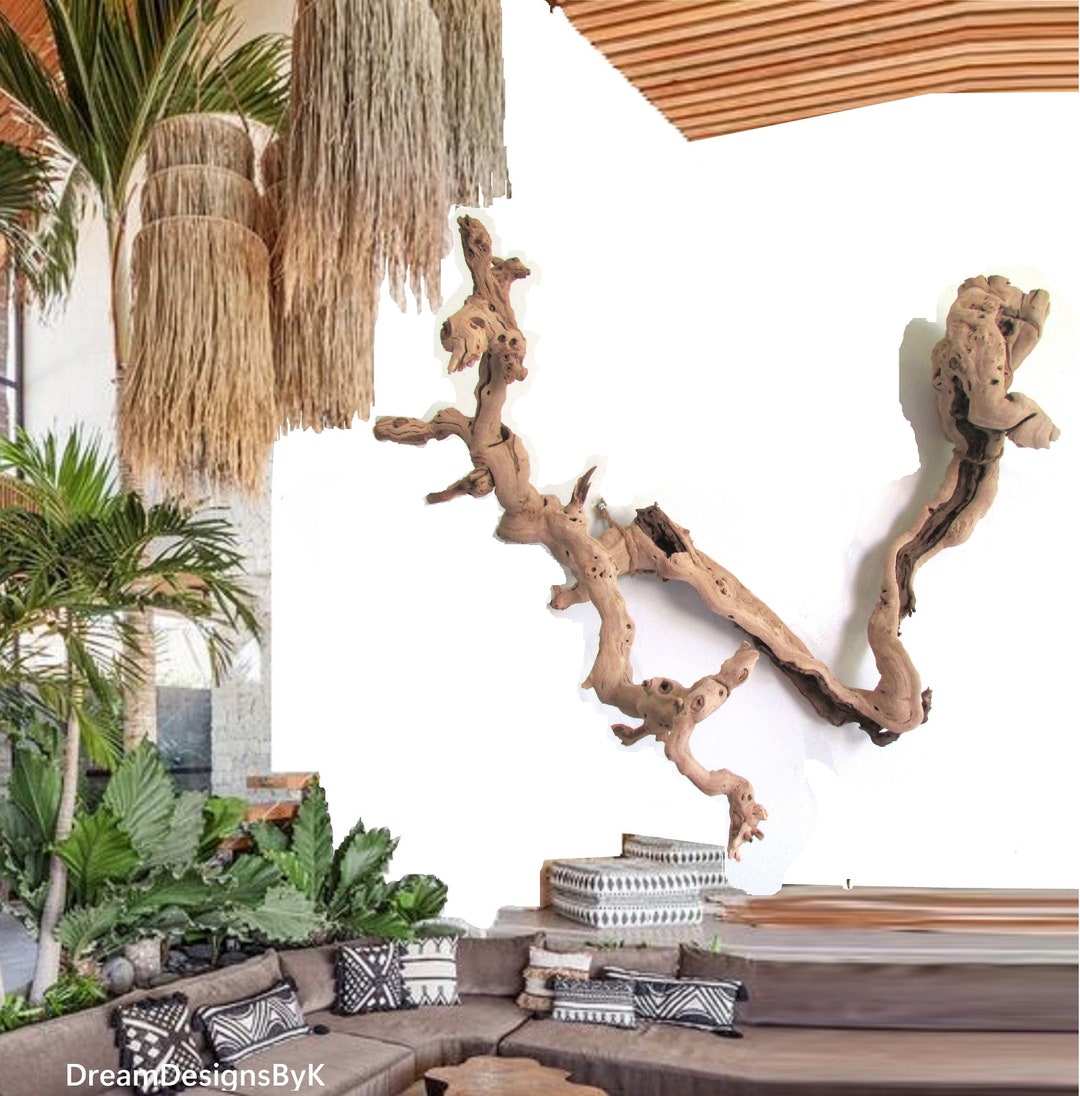 Wall Art, Driftwood Wall Art,driftwood Air Plants Display,large ...