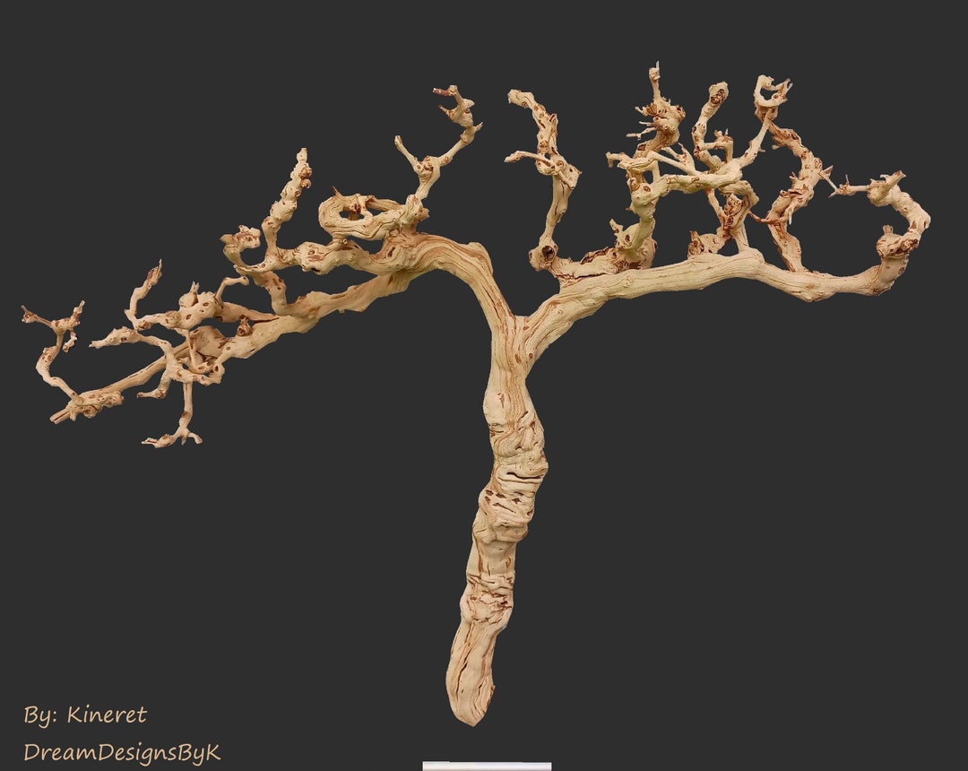 Huge 61" Huge Grape Vine Art, From Retired Napa Cabernet Grapevine 100% ...