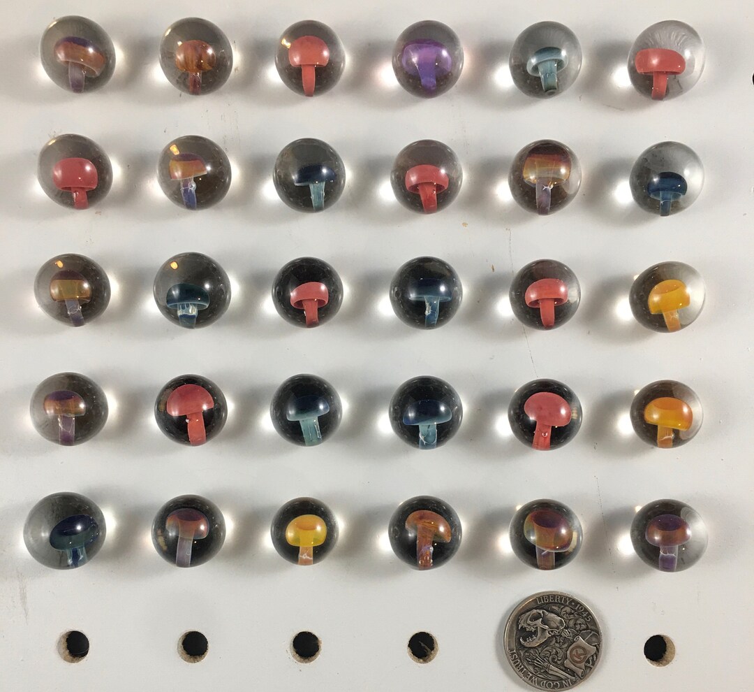 6 Pack Assortment of Mushroom Marble Box - Etsy