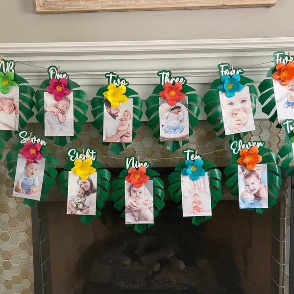 Tropical Birthday Decorations - Etsy