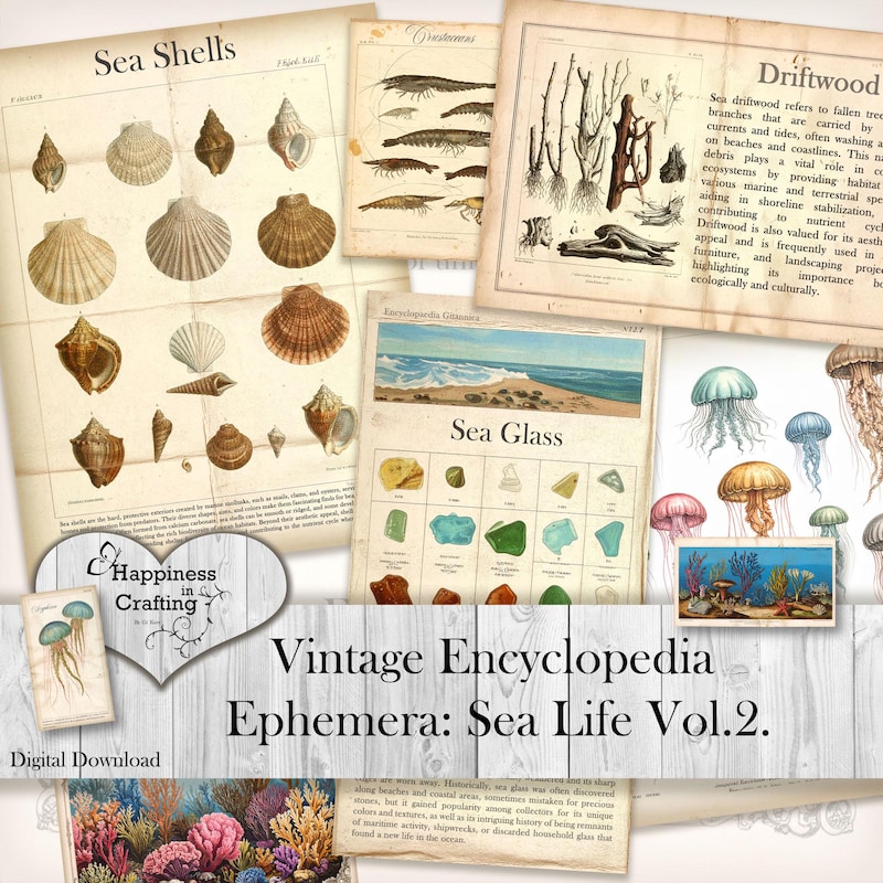 Encyclopedia on Fiber - Etsy