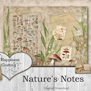 Nature's Notes - Instant Digital Download, Printable, Digital Kit for ...