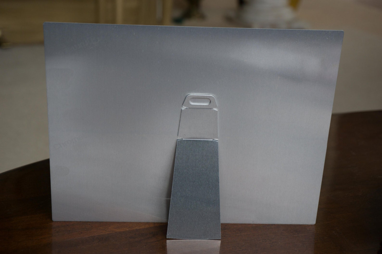 Finally a "nemo" -- Aluminum Plate -- Underwater Photography by ...