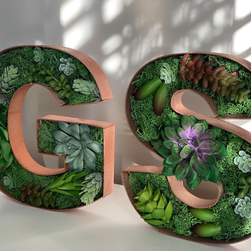 Succulent Letter - Etsy