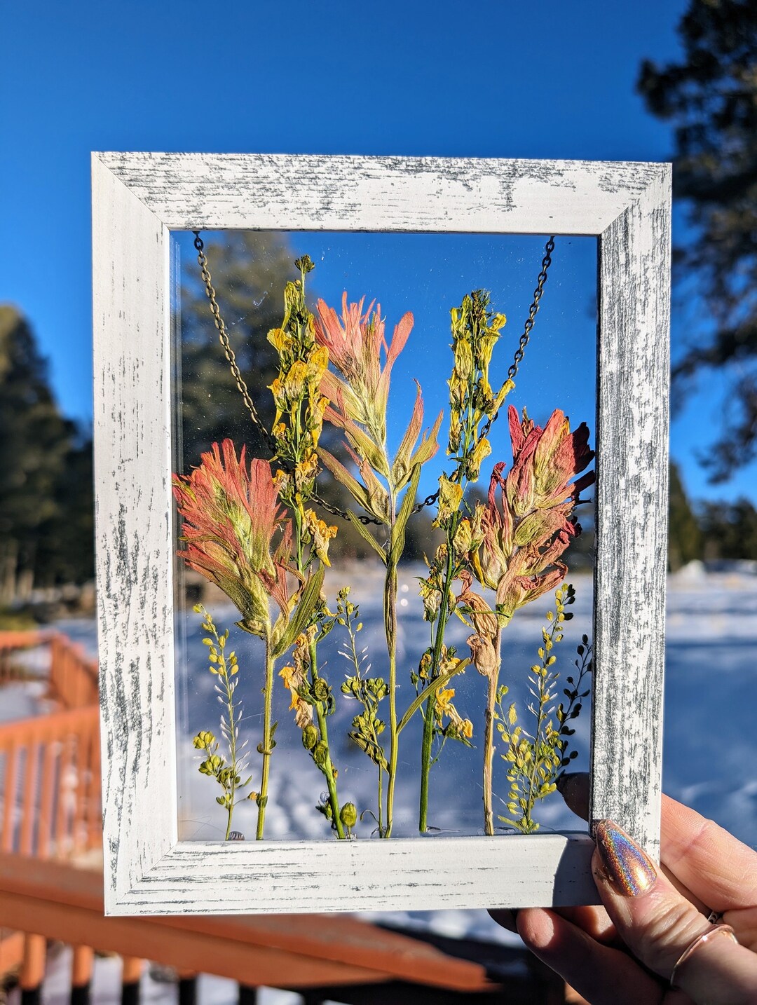 Art mural fleurs sauvages du Colorado, art floral encadré rustique 5 x ...