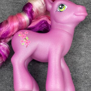 My Little Pony G3 Cherry Blossom - Etsy