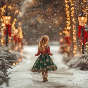 Christmas Digital Background / Backdrop for Photography. Snowy Path ...