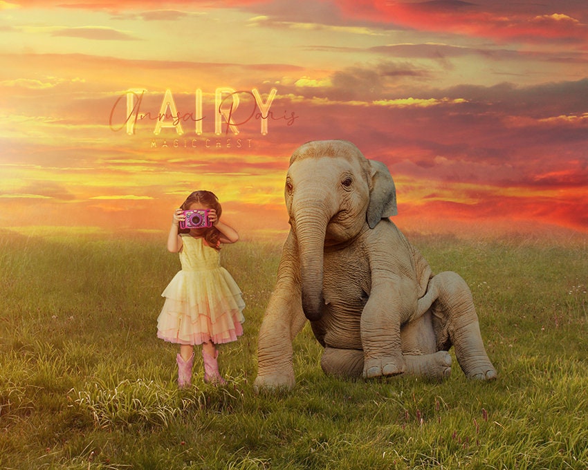 Baby African Elephants In Sunset