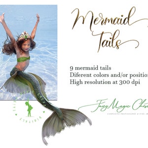 Mermaid Tails PNG Overlays, Separated Png Files on Transparent ...