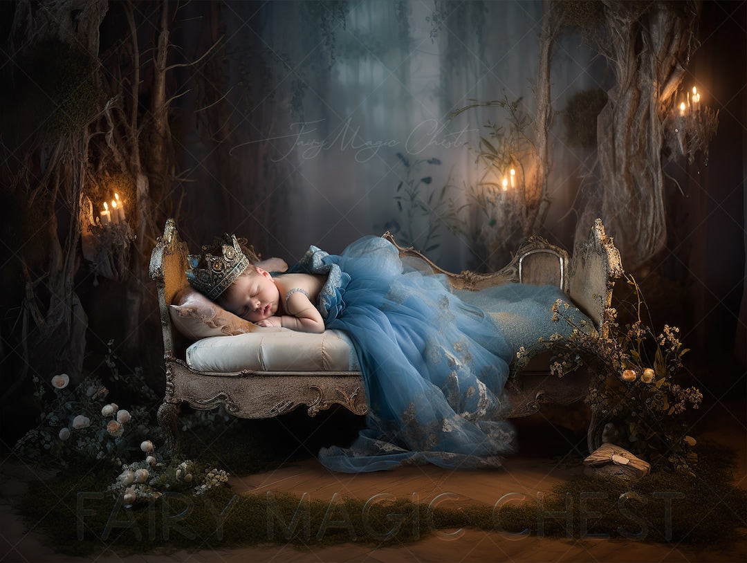 Newborn Digital Background , Backdrop, Princess Baby Bed, for Newborn ...