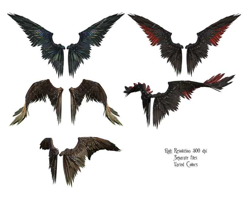 Fantasy Wings Digital Overlays Png on Transparent | Etsy