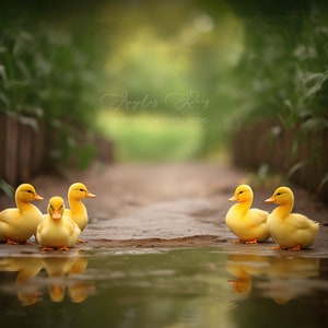 Summer Digital Backdrop , Yellow Ducklings by a Water, Digital ...
