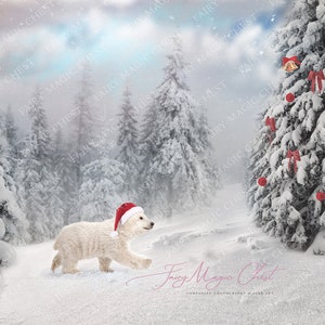 Christmas Digital Background / Backdrop. Baby Bear in Snowy Scene ...