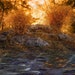 Digital Background / Backdrop Pond Autumn Scene Overlay - Etsy