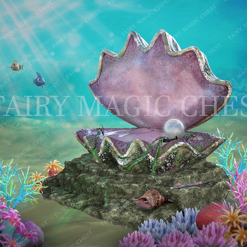 Magic Conch Shells - Etsy