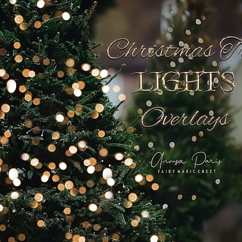 Tree Art Photographs - Etsy