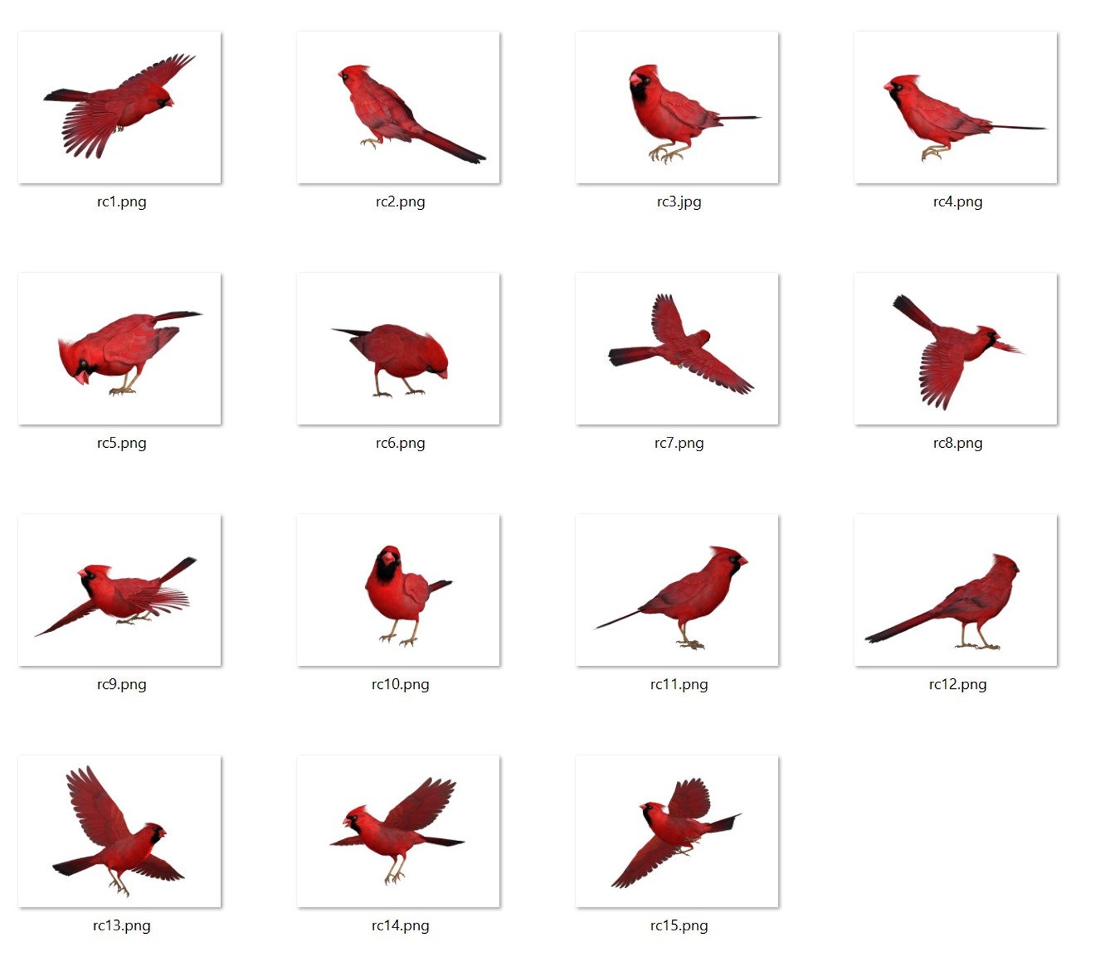 Red Cardinal Png Overlay Winter Bird Clip Art Christmas Bird | Etsy