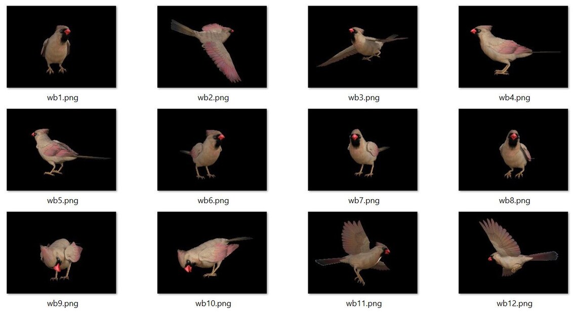 Cardinal Png Overlay Winter Bird Clipart Bird Png Overlays - Etsy