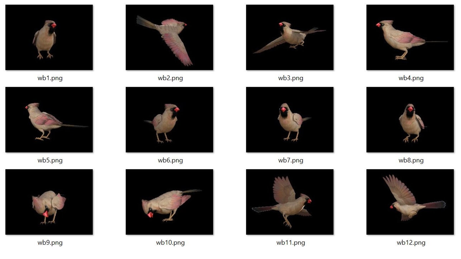 Cardinal Png Overlay Winter Bird Clipart Bird Png Overlays - Etsy