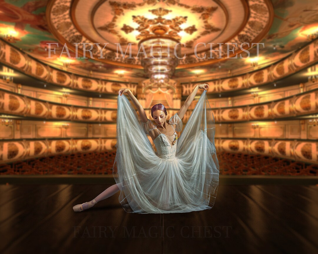 Digital Background. Empty Theater. View From the Stage . Opera Stage ...