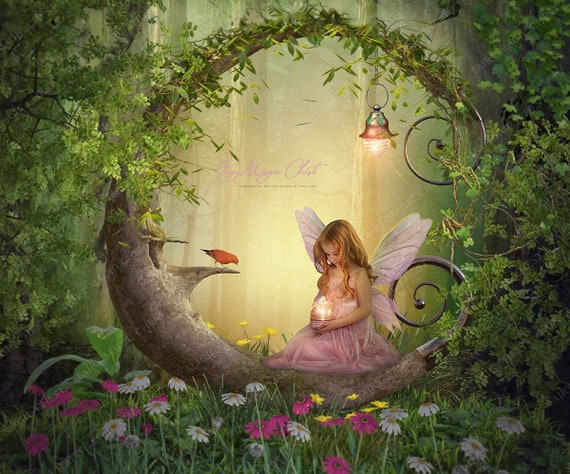 Digital Background / Bird on the Stone Moon / Enchanted - Etsy