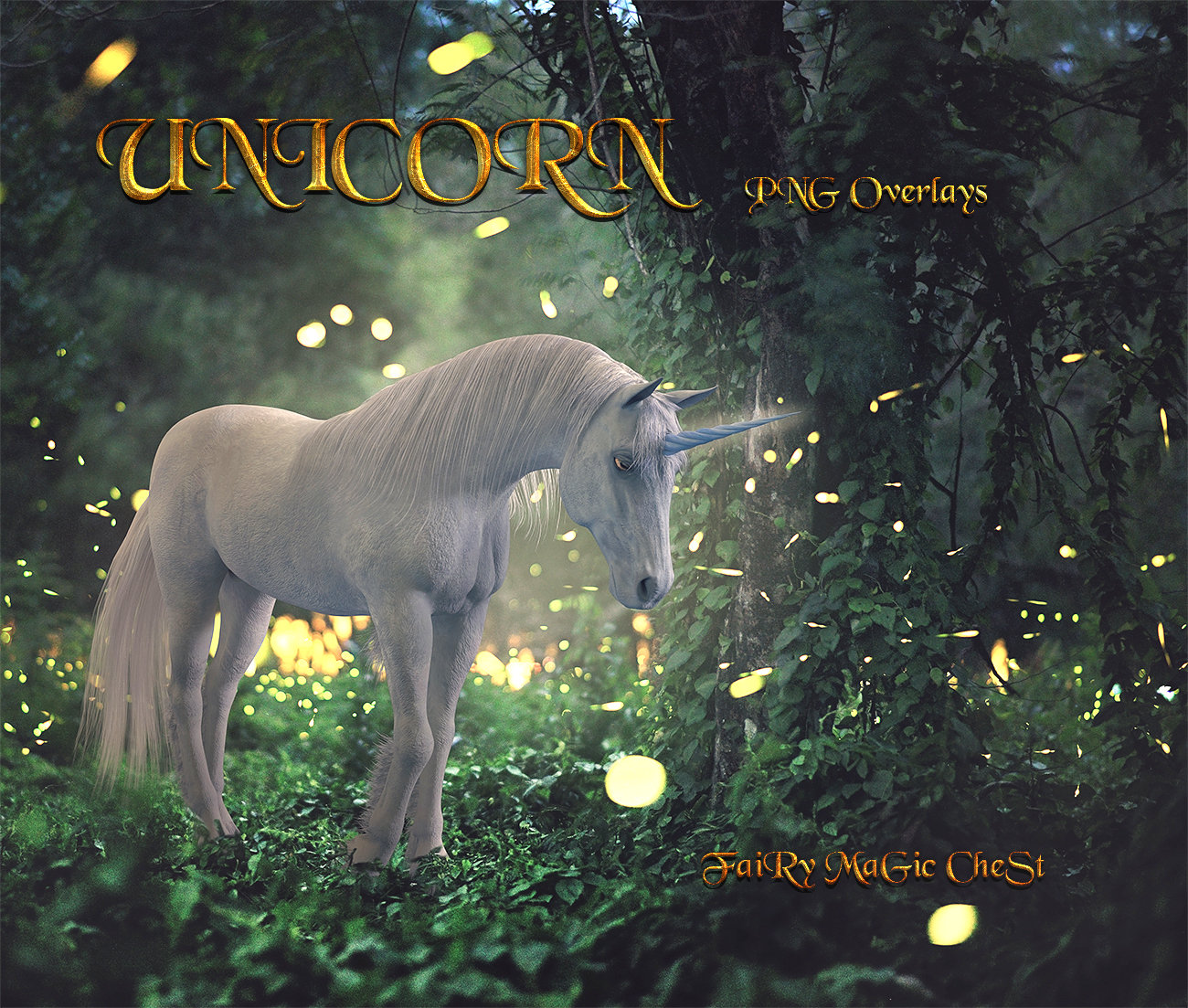 Unicorn Png Overlay , Digital Overlay , Png on Transparent Background ...