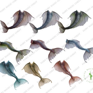 Mermaid Tails PNG Overlays, Separated Png Files on Transparent ...