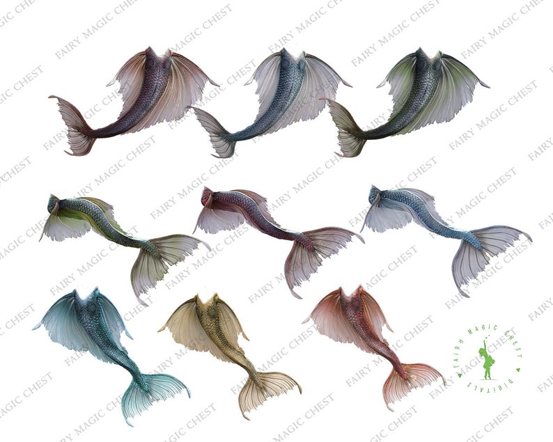 Mermaid Tails PNG Overlays Separated Png Files on Transparent | Etsy