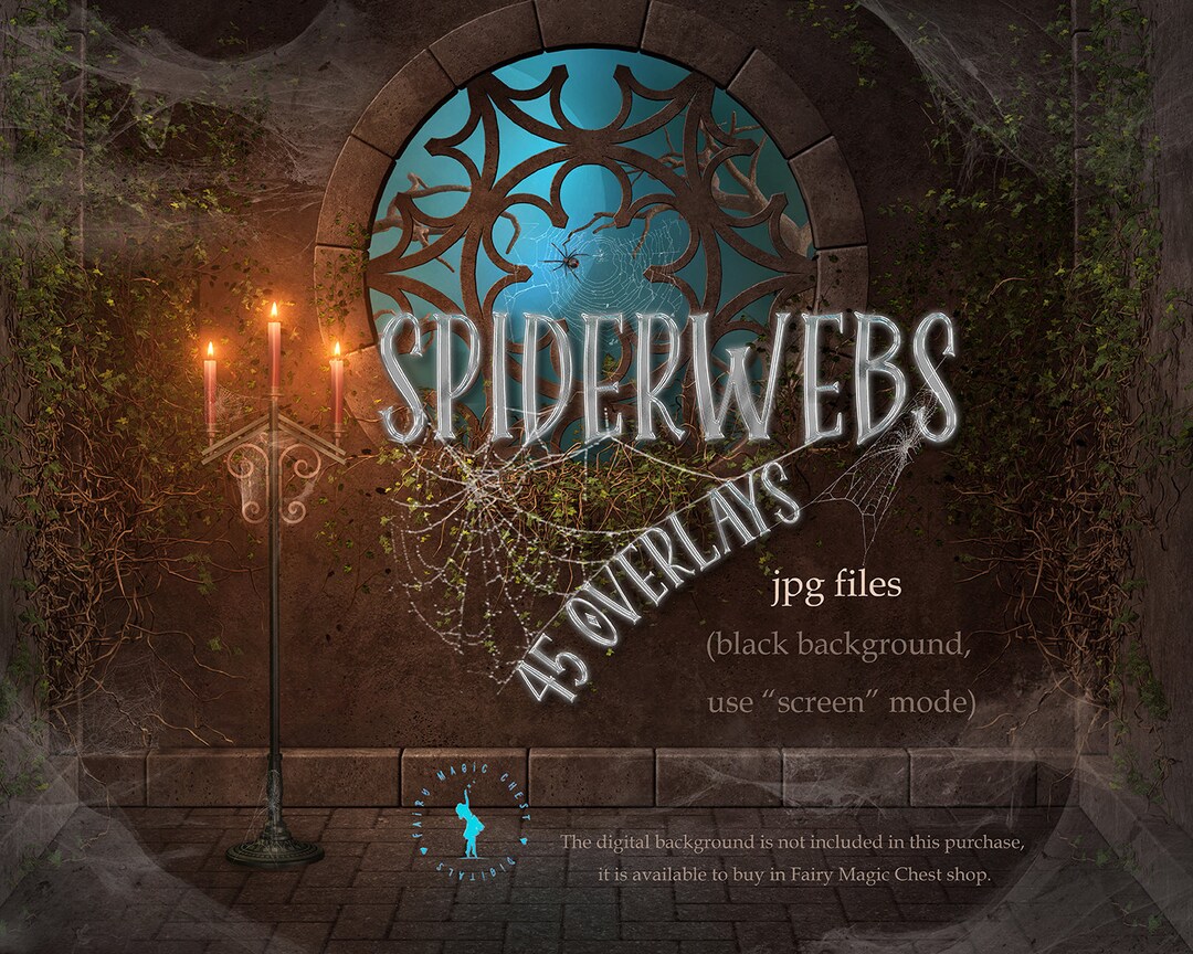 Collection Spiderwebs / Cobwebs Digital Overlays . 45 Jpg Files. - Etsy