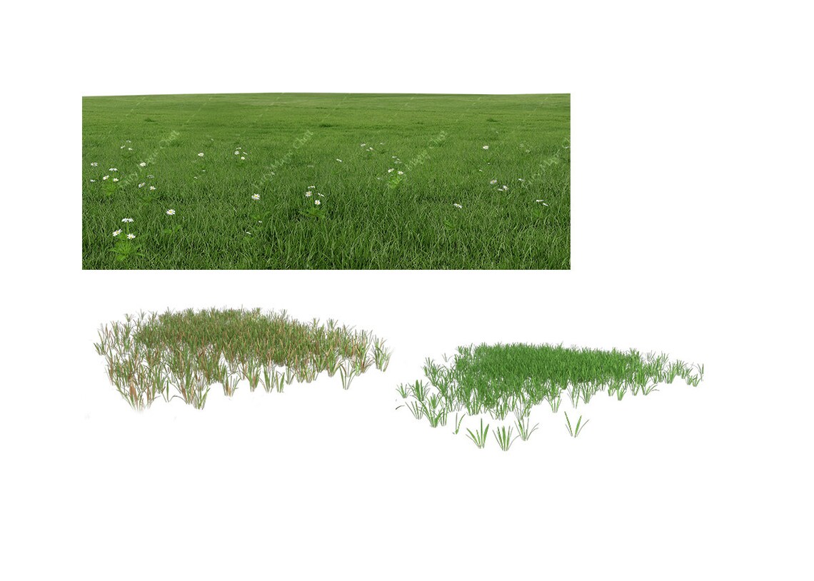 Grass PNG Overlays: Lawn Photo Editing (digital Download) - Etsy
