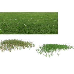 Grass Overlays , Png on Transparent Background, to Cover Areas, Add ...