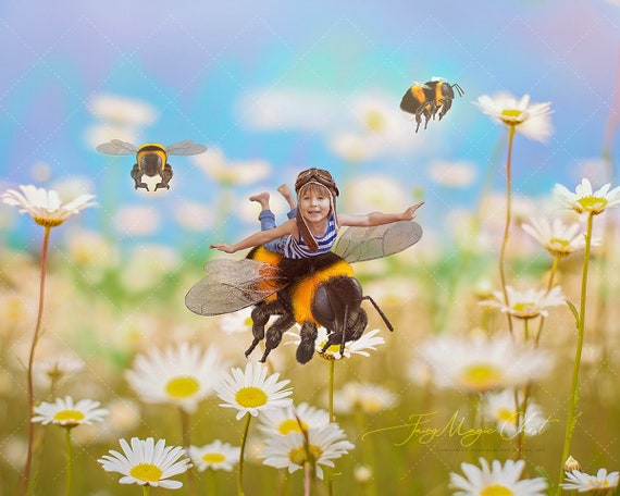 Bumblebee Digital Background / Backdrop for Kids Photography - Etsy