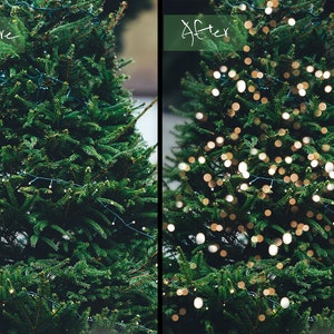 Realistic Christmas Tree Overlay and 20 Lights , Bokeh, Sparkles and ...