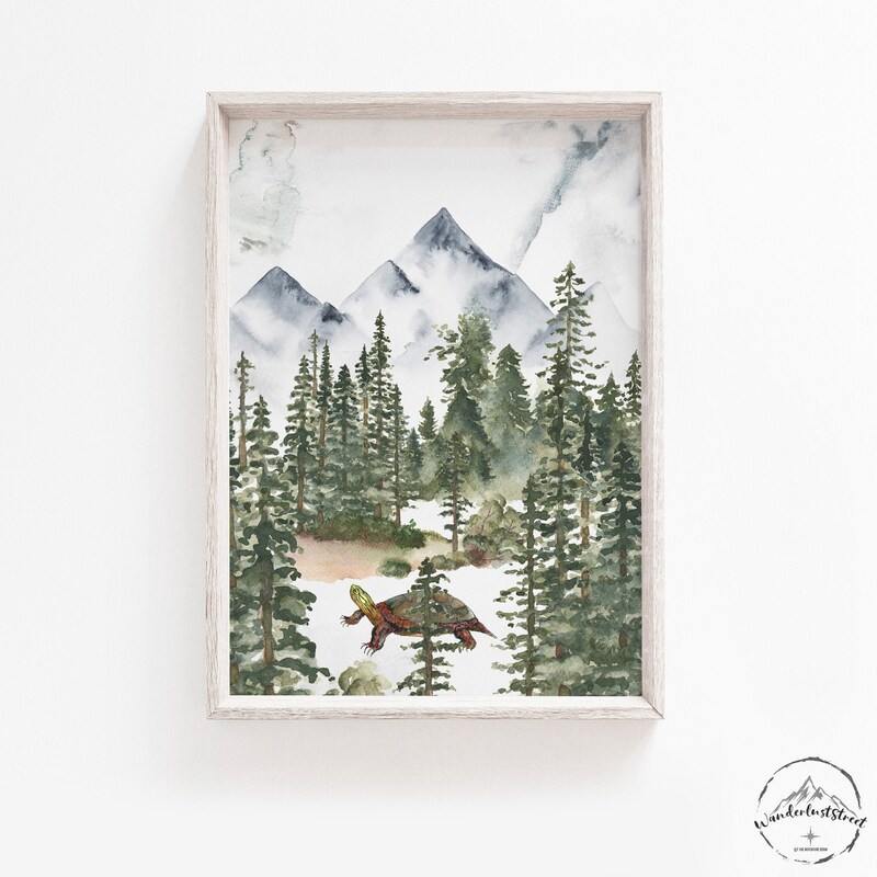Mountain Turtle Plant - Etsy