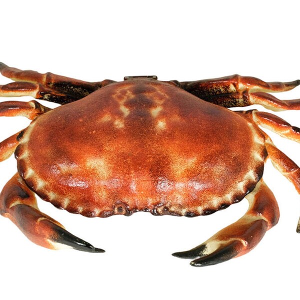 Cast Iron Crab - Etsy